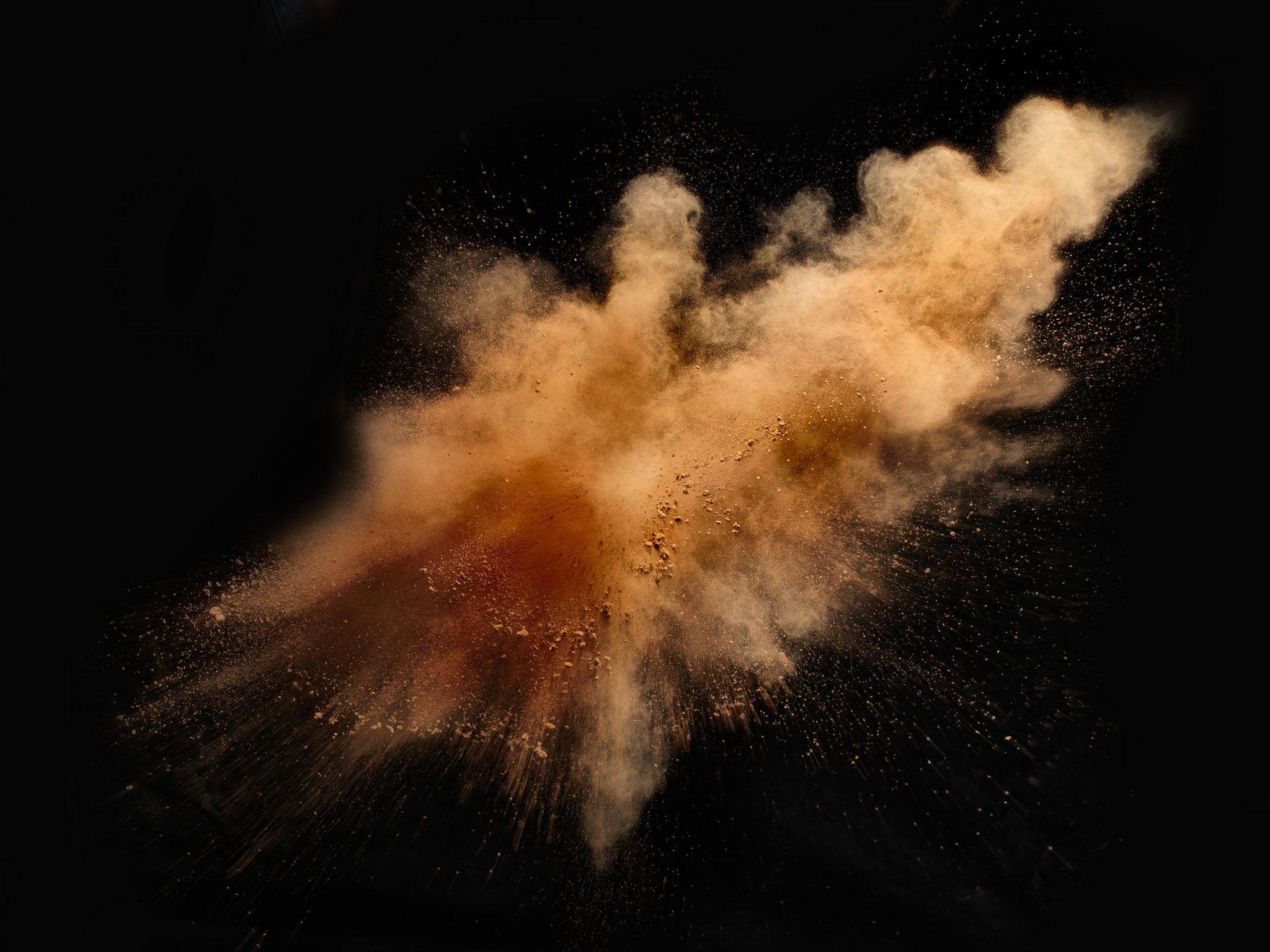 Poudre - Caroline Faccioli, photographe culinaire Paris