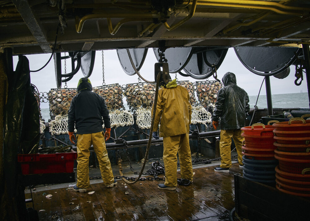 Caroline Faccioli, photographe culinaire Paris - Photographe culinaire ...